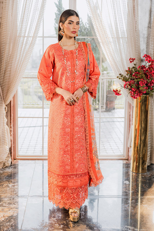 New Arrivals – Page 3 – Marjjan